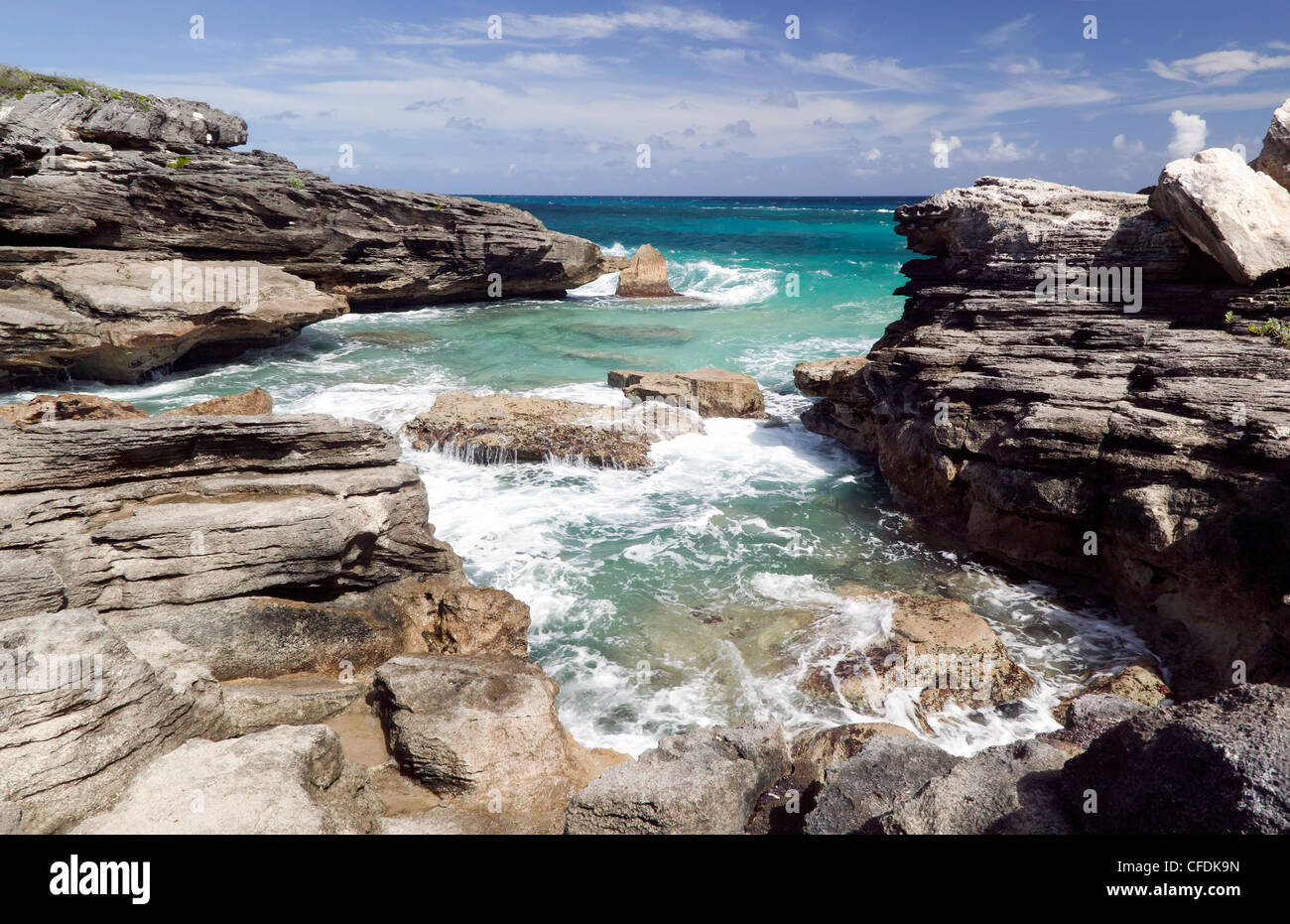 Capture of a coastal section of Spittal Pond Nature Reserve, Smith's ...