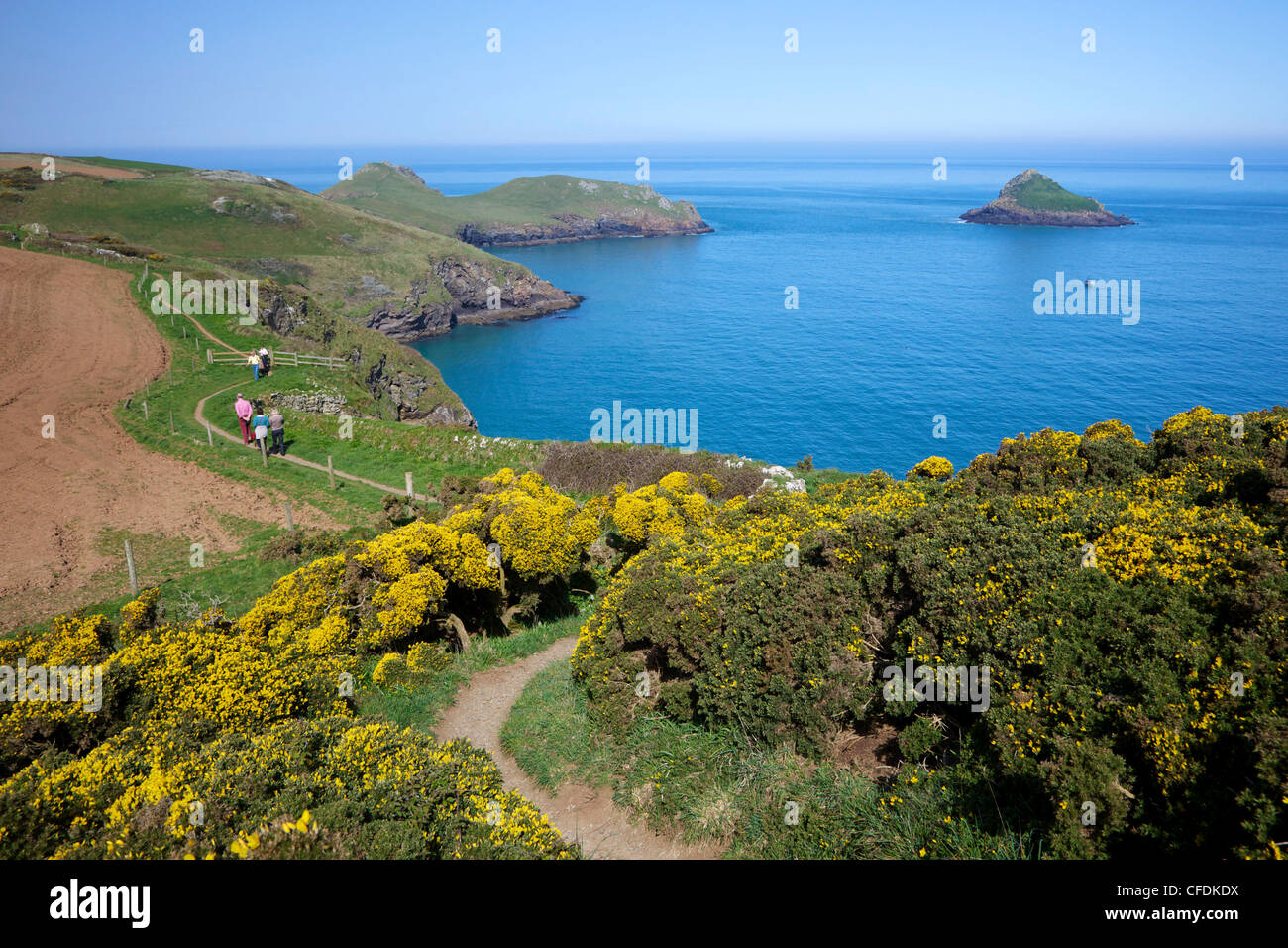 Walkers on coastpath with views of the Mouls and Rumps Point, Pentire ...