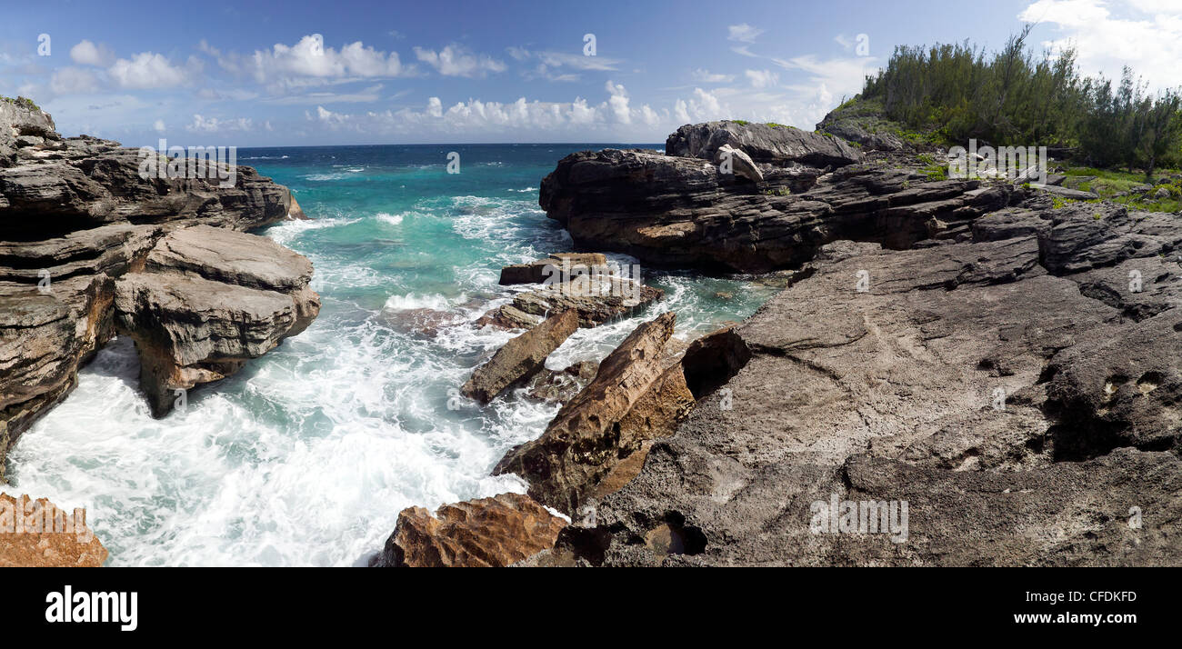 Bermuda spittal pond nature reserve hi-res stock photography and images ...