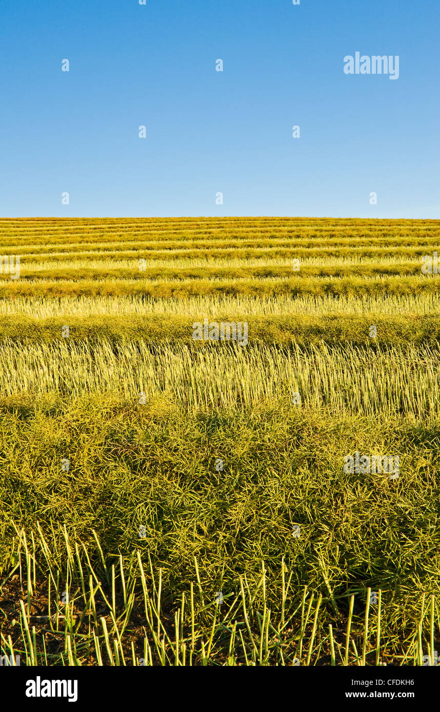Swaths of land hi-res stock photography and images - Alamy