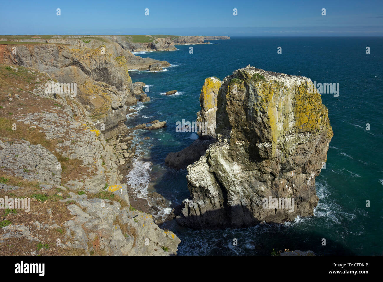 Coast national park hi-res stock photography and images - Alamy