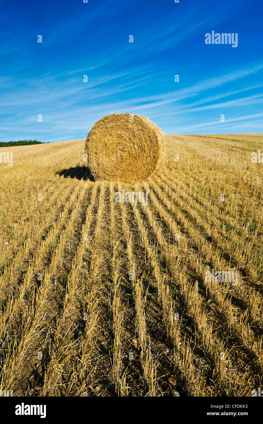 Round straw bale hi-res stock photography and images - Alamy