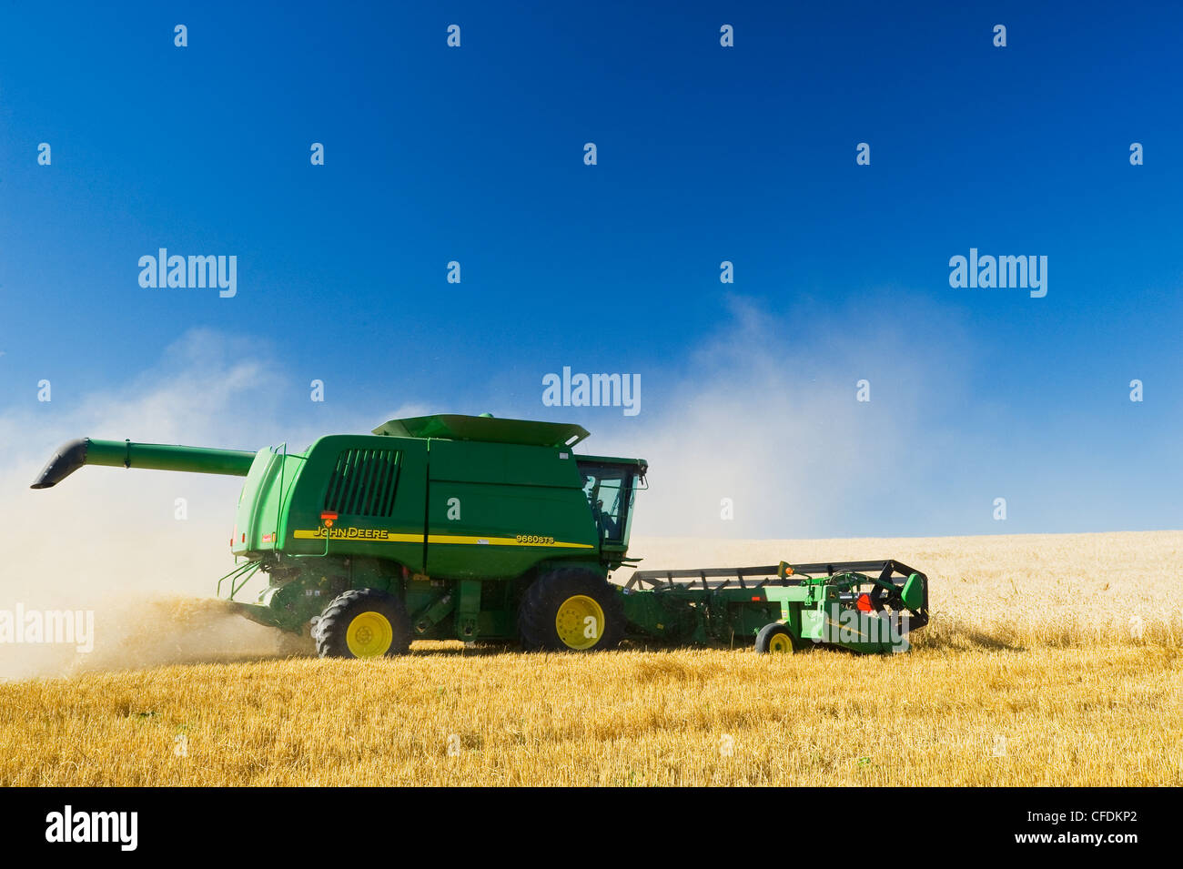 A combine harvests spring wheat near Pangman, Saskatchewan, Canada ...