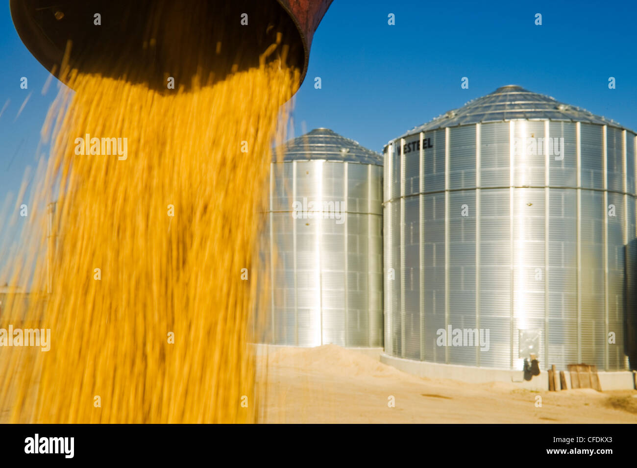Loading soybeans from grain storage bins, near Lorette, Manitoba ...