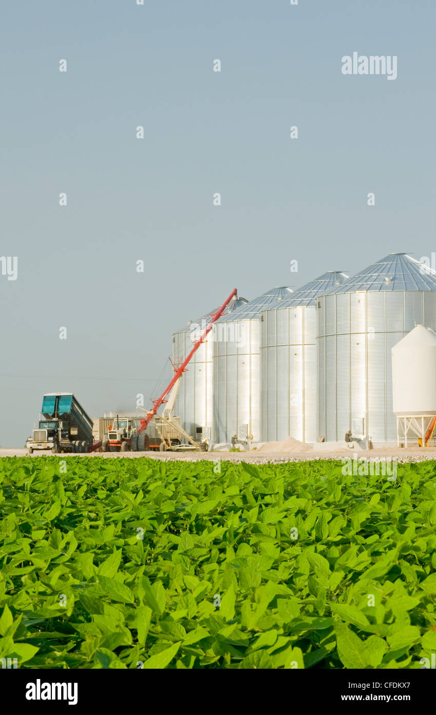 Truck unloading grain bins hi-res stock photography and images - Alamy
