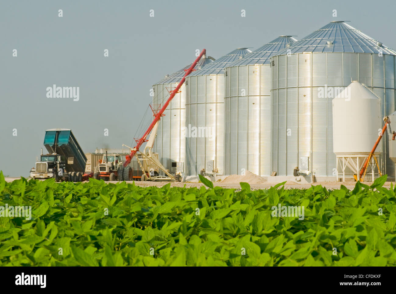 Soya bins hi-res stock photography and images - Alamy