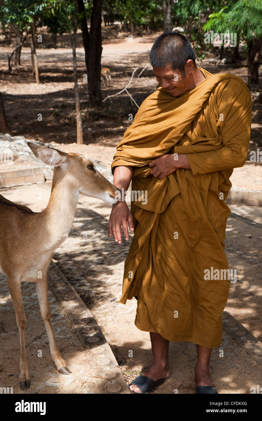 Deer licks hand monk pha hi-res stock photography and images - Alamy
