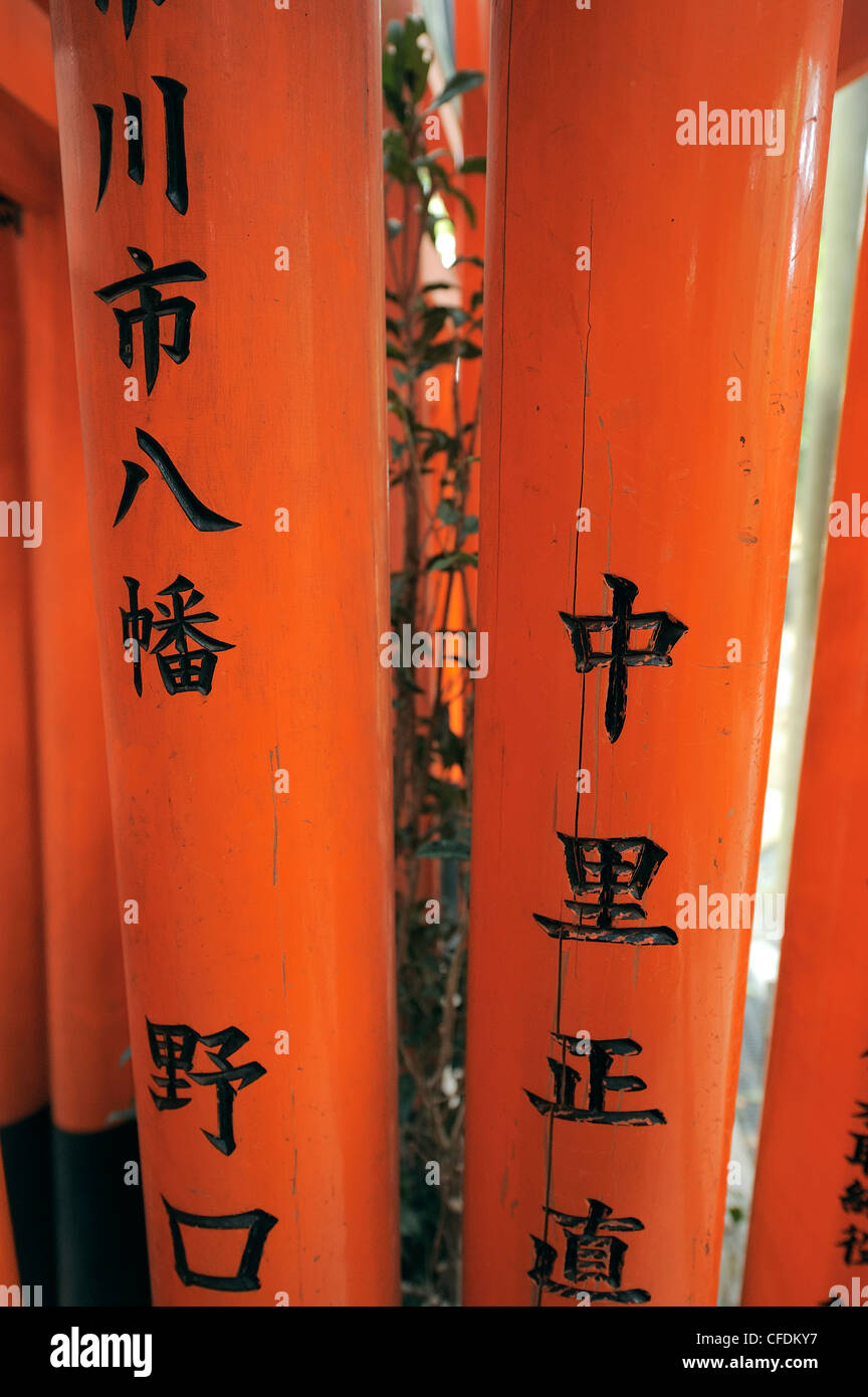 Red poles torii gates hi-res stock photography and images - Alamy