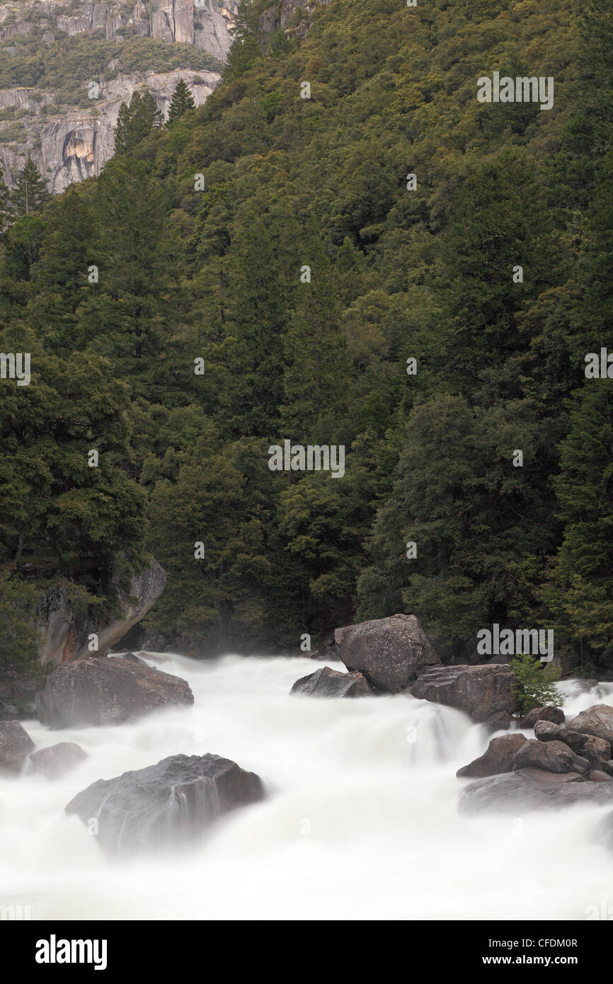 Yosemite forest river hi-res stock photography and images - Alamy