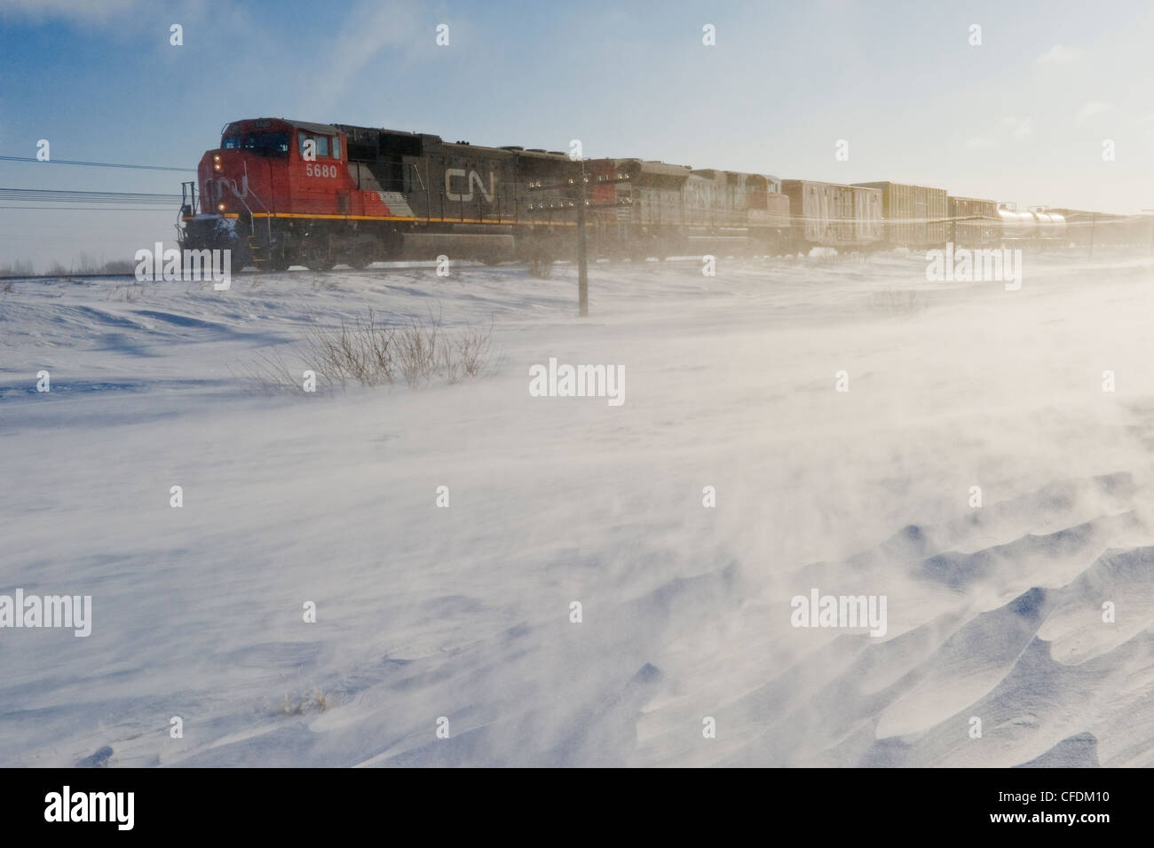 Blizzard [prairies winter storm] hi-res stock photography and images ...