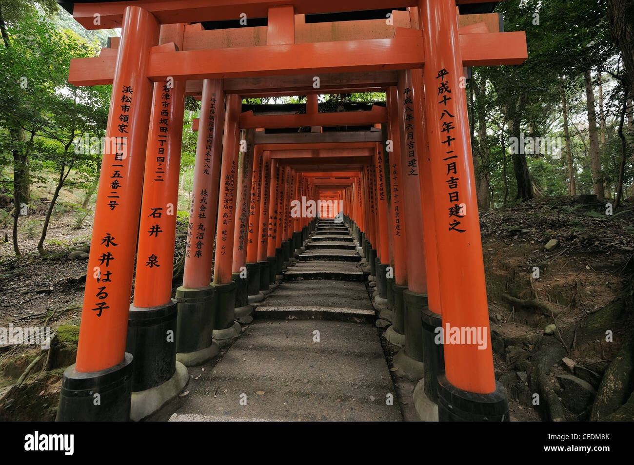 torii gates at Fushimi Inari Shrine, Kyoto, Japan Stock Photo - Alamy