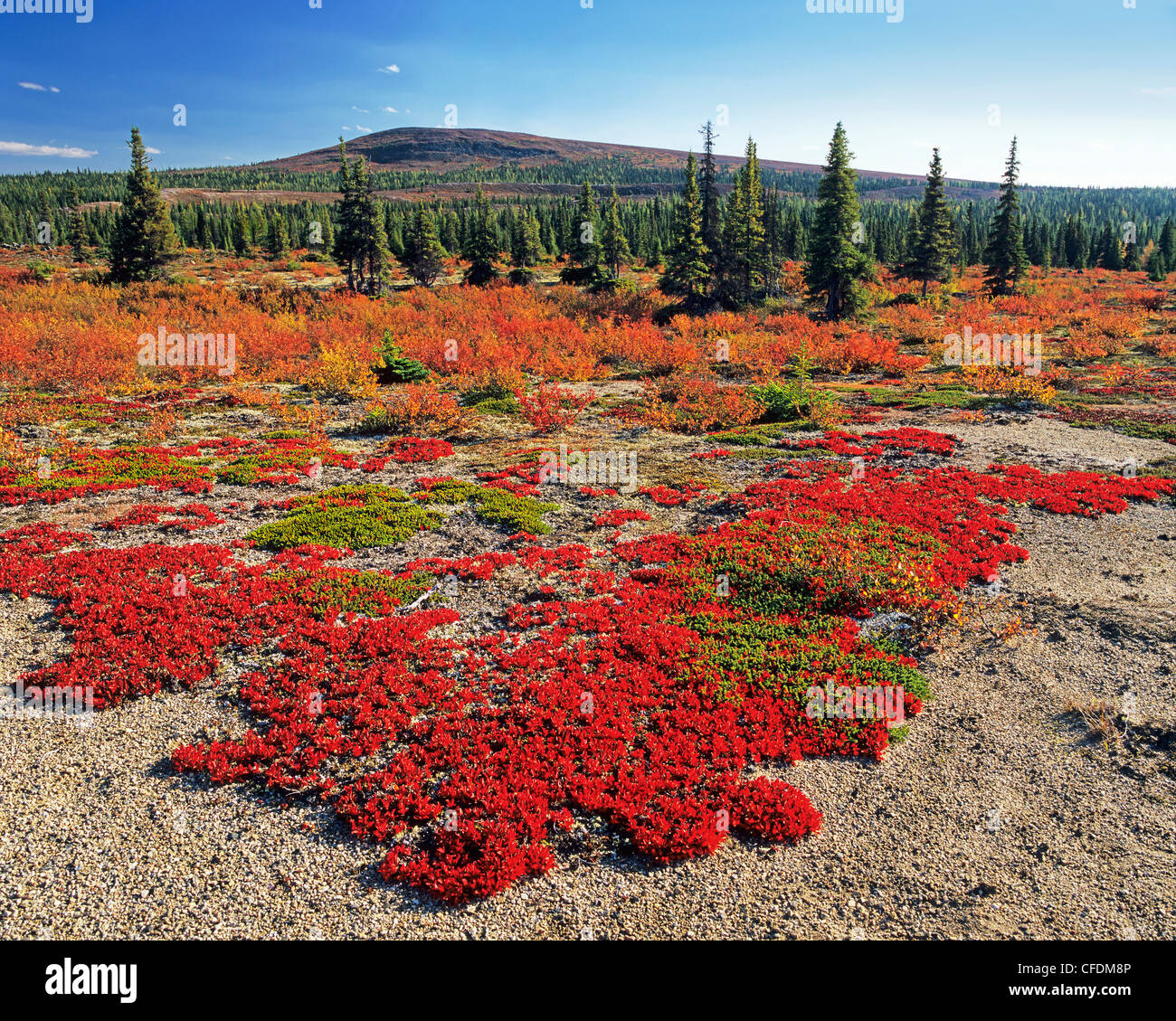 Tundra near George River, Nunavik, Quebec, Canada Stock Photo - Alamy