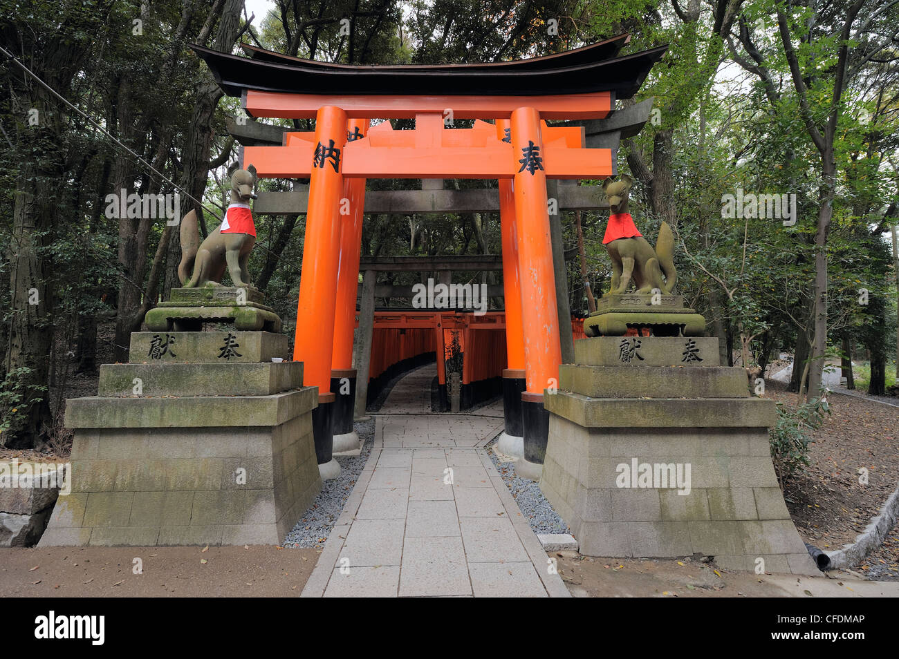 decorated stone foxes and torii gates at Fushimi Inari Shrine, Kyoto ...