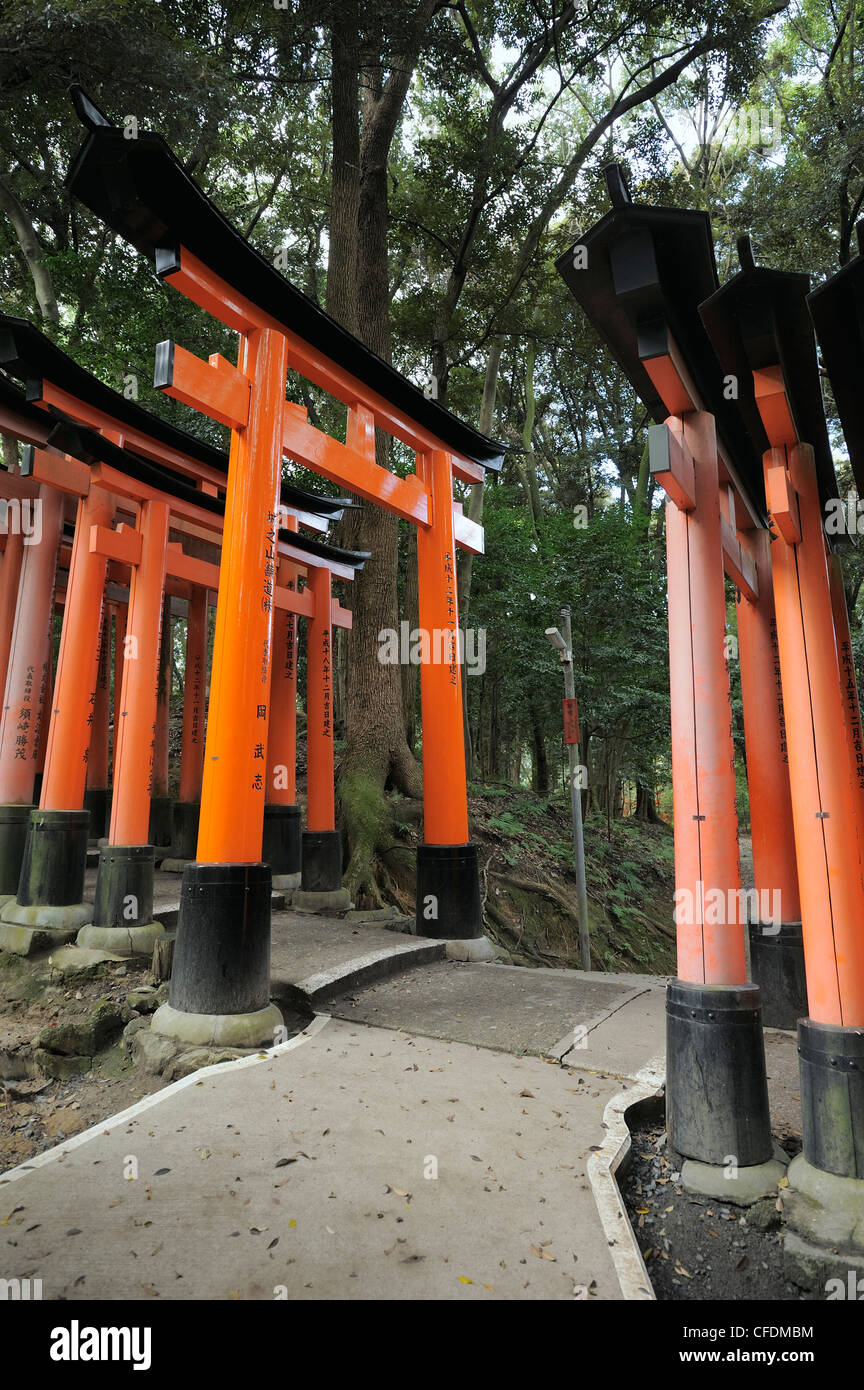 torii gates at Fushimi Inari Shrine, Kyoto, Japan Stock Photo - Alamy