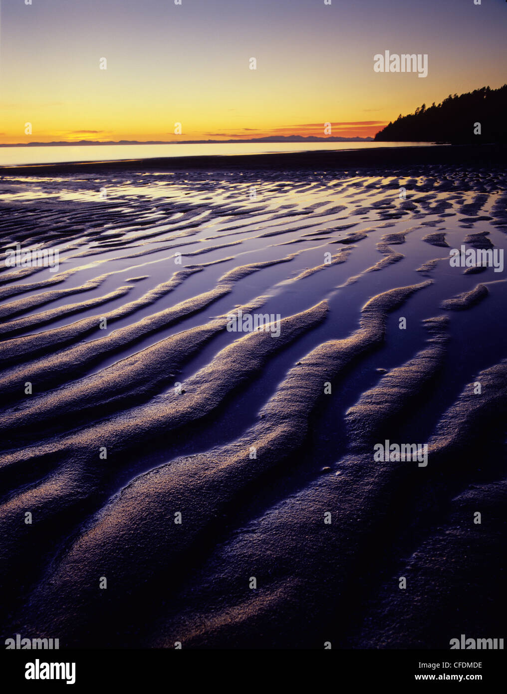Sand bars at sunset, White Rock Beach, British Columbia, Canada Stock ...