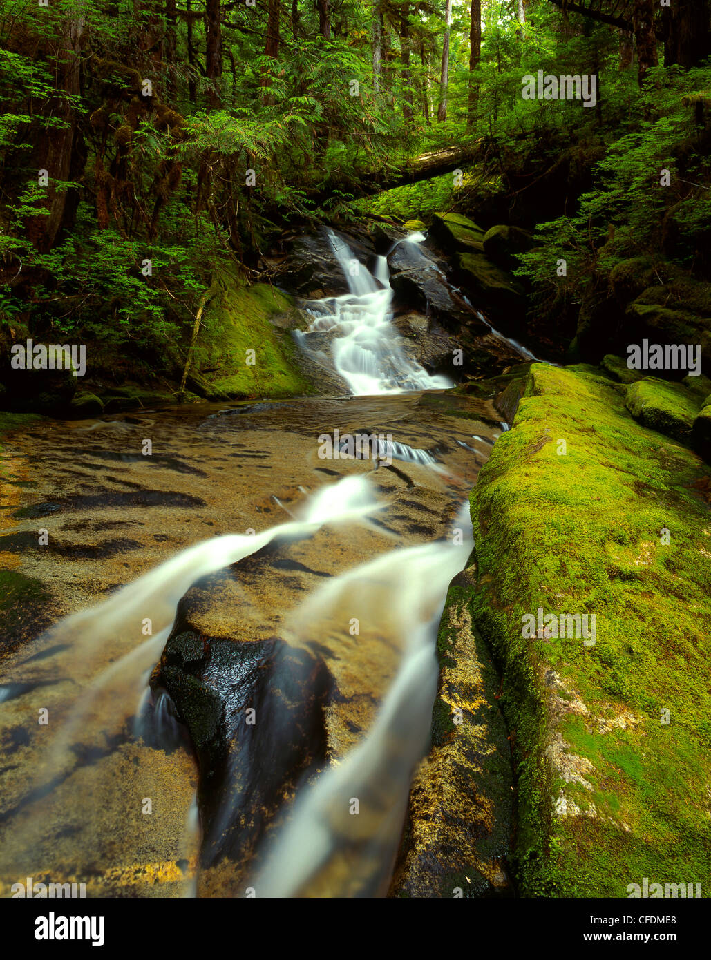 Waterfall, Ellerslie Valley, British Columbia, Canada Stock Photo - Alamy
