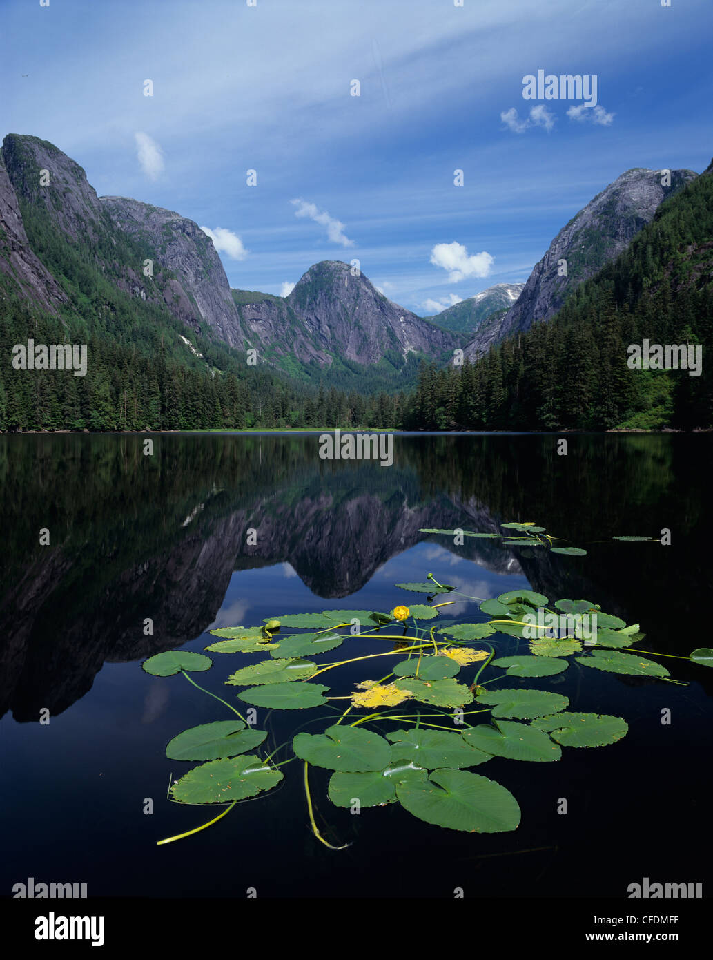 Ellerslie lake hi-res stock photography and images - Alamy