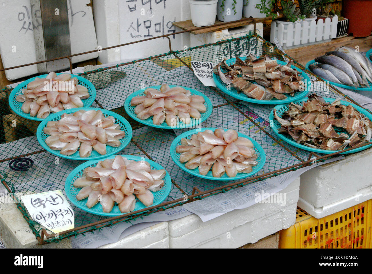 South korea busan fish hi-res stock photography and images - Alamy