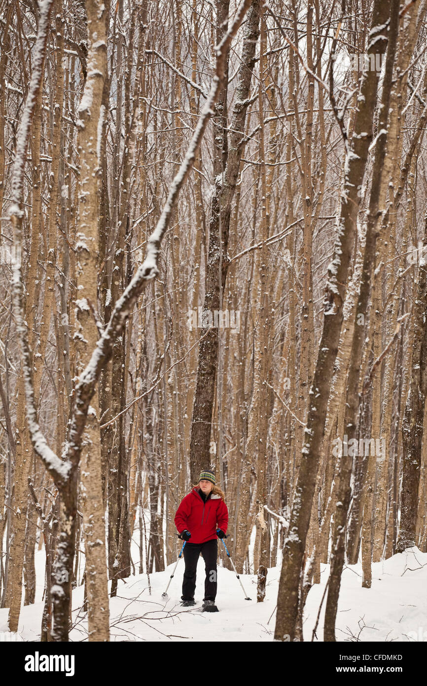 A young woman snowshoes through a beautiful forest, near St. Raymond ...