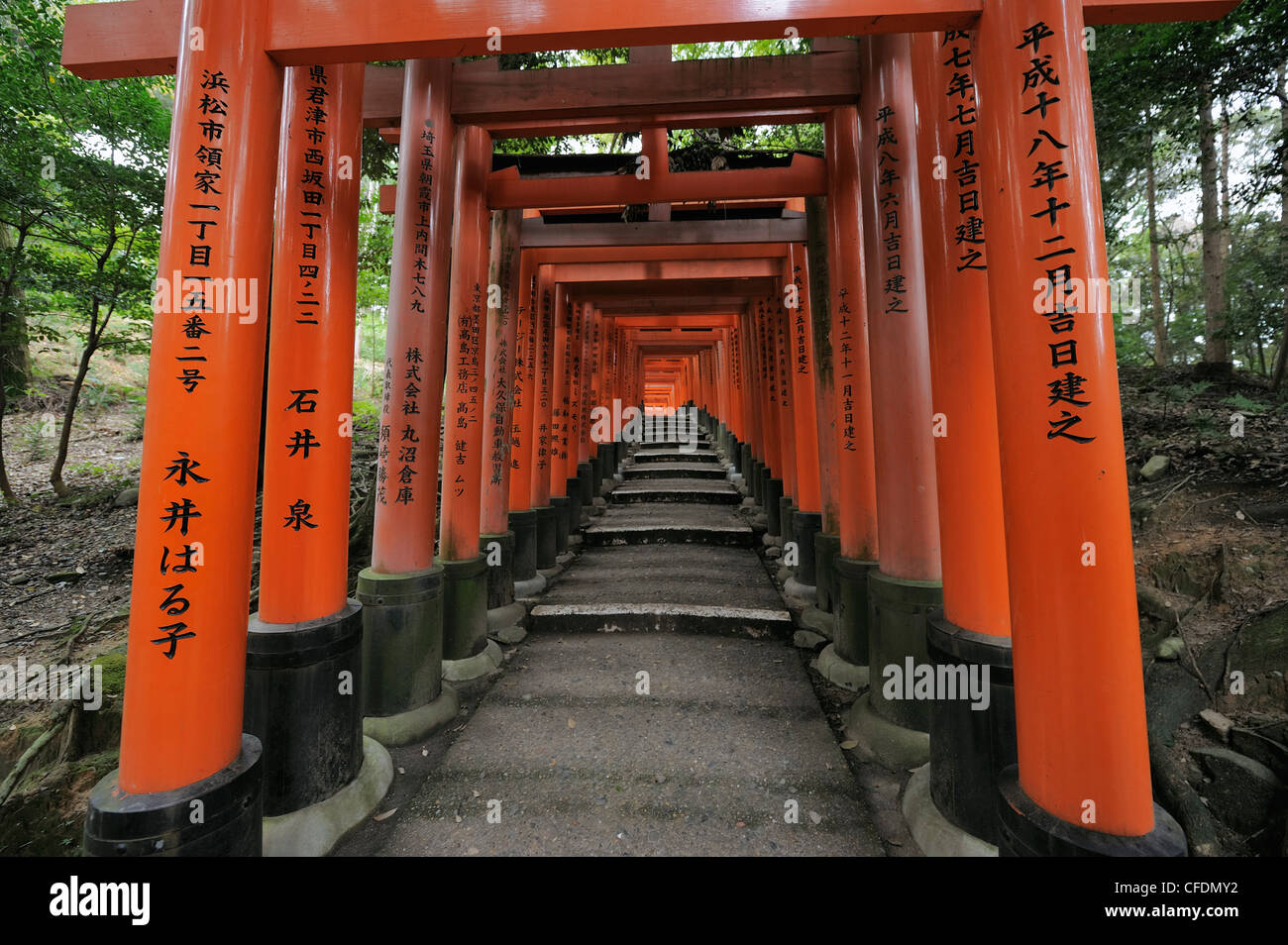 torii gates at Fushimi Inari Shrine, Kyoto, Japan Stock Photo - Alamy