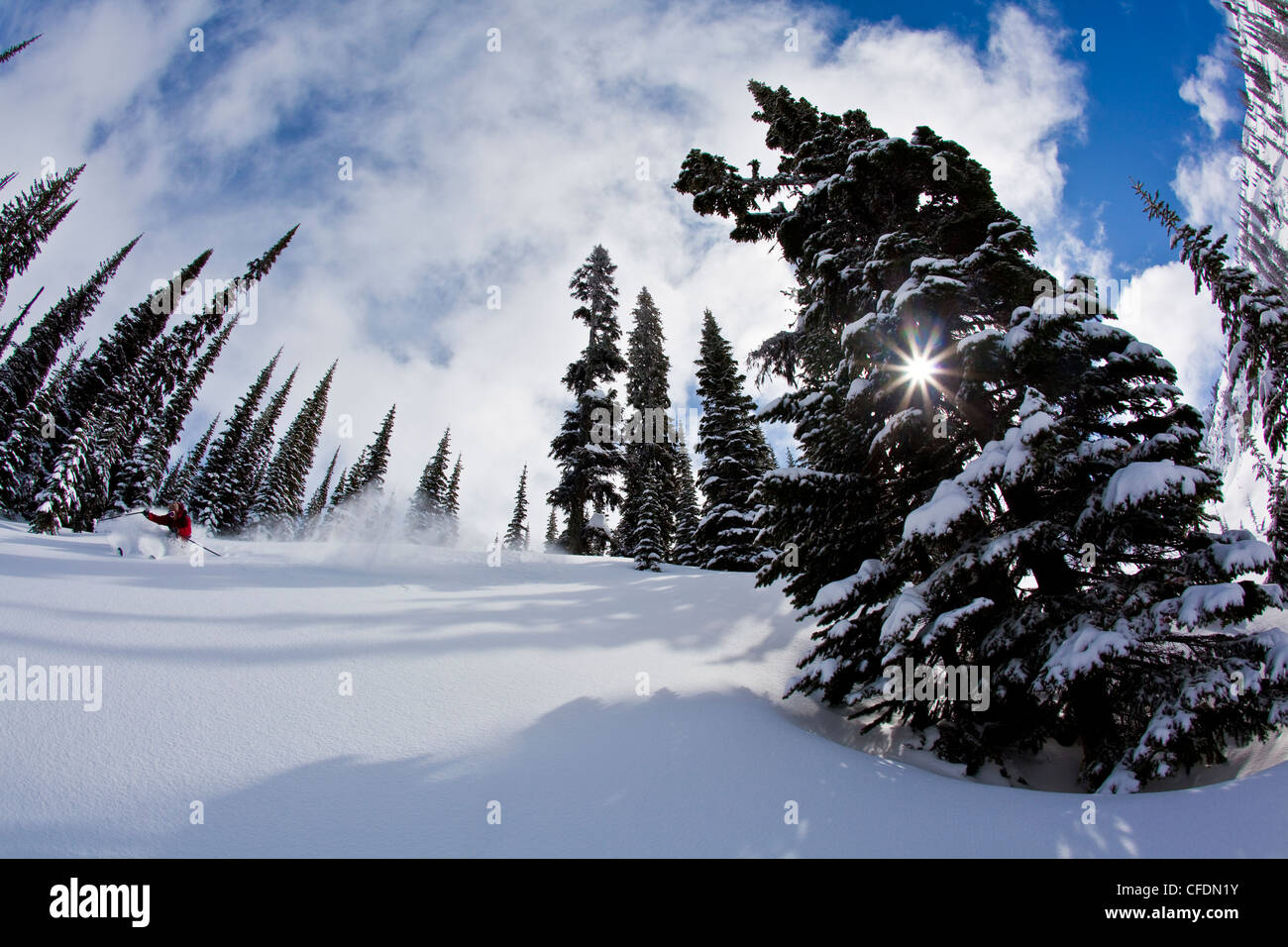 A male skier earns his turns and skis fresh powder while ski touring at ...