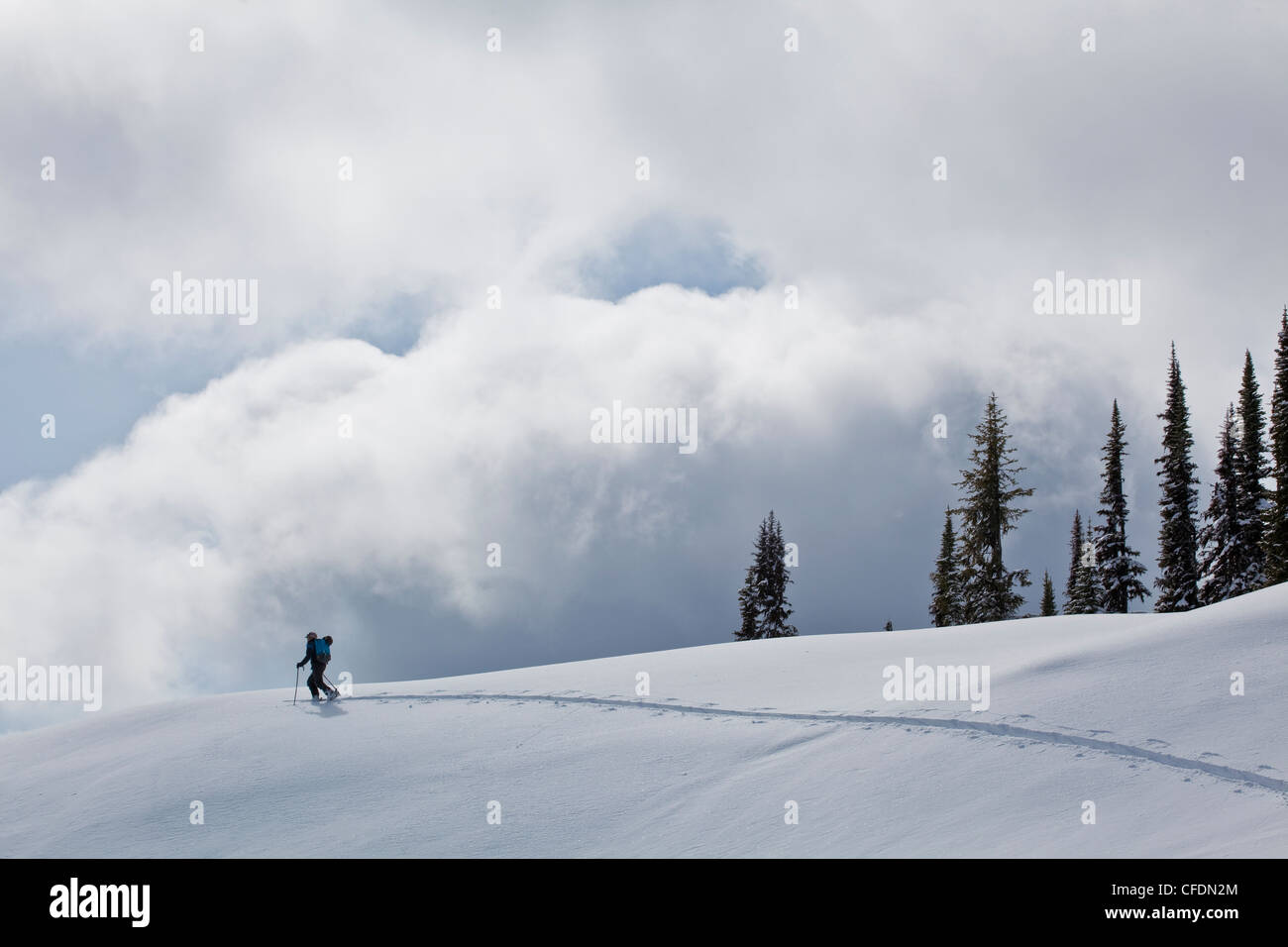 A man ski touring at Sol Mountain Lodge, Monashees, near Revelstoke ...