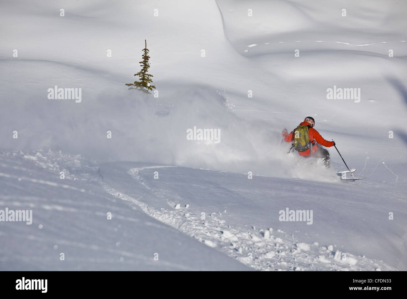 A male skier earns his turns and skis fresh powder while ski touring at ...