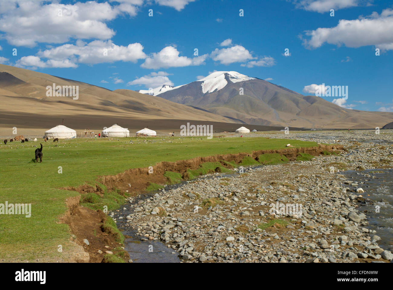 Nomad Kazakh family and yurts, Region of Bayan Ulgii, Mongolia, Central ...