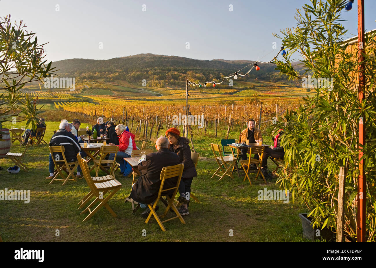 Heuriger hi-res stock photography and images - Alamy