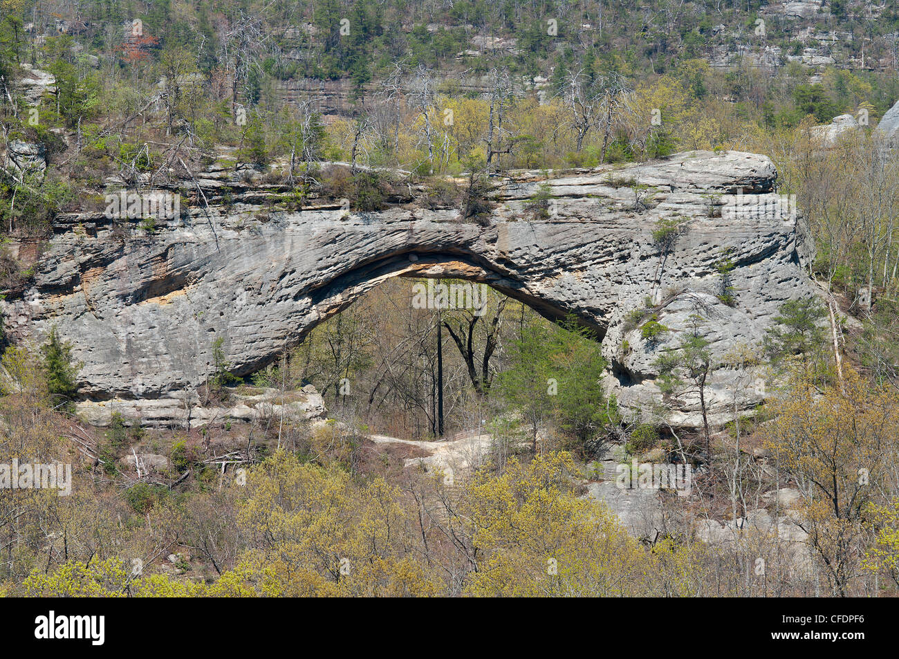 Natural Arch, Daniel Boone National Forrest, Kentucky, US, Sandstone ...
