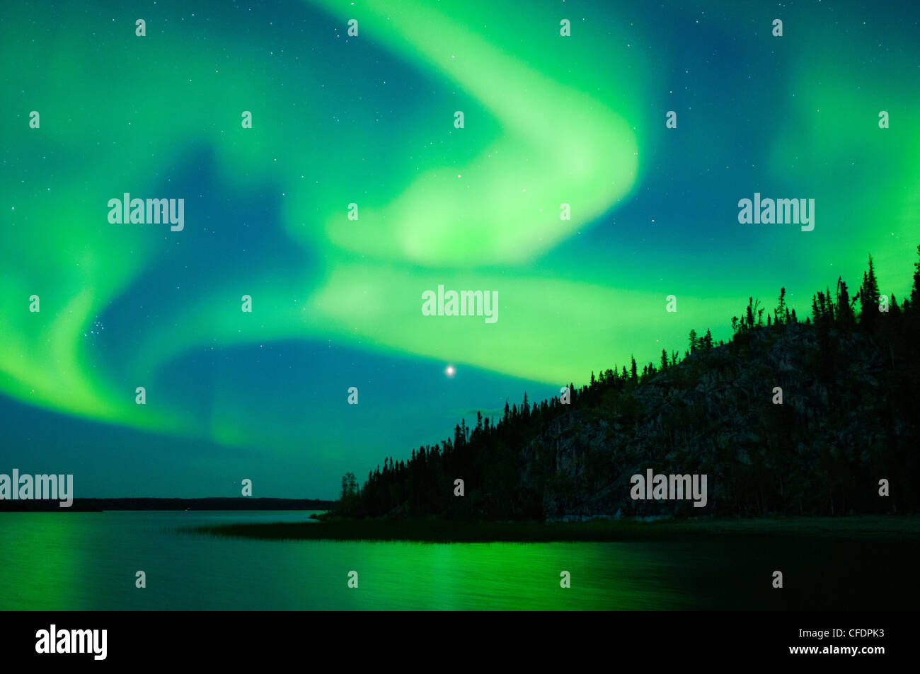 Aurora borealis (northern lights), boreal forest, Yellowknife environs ...