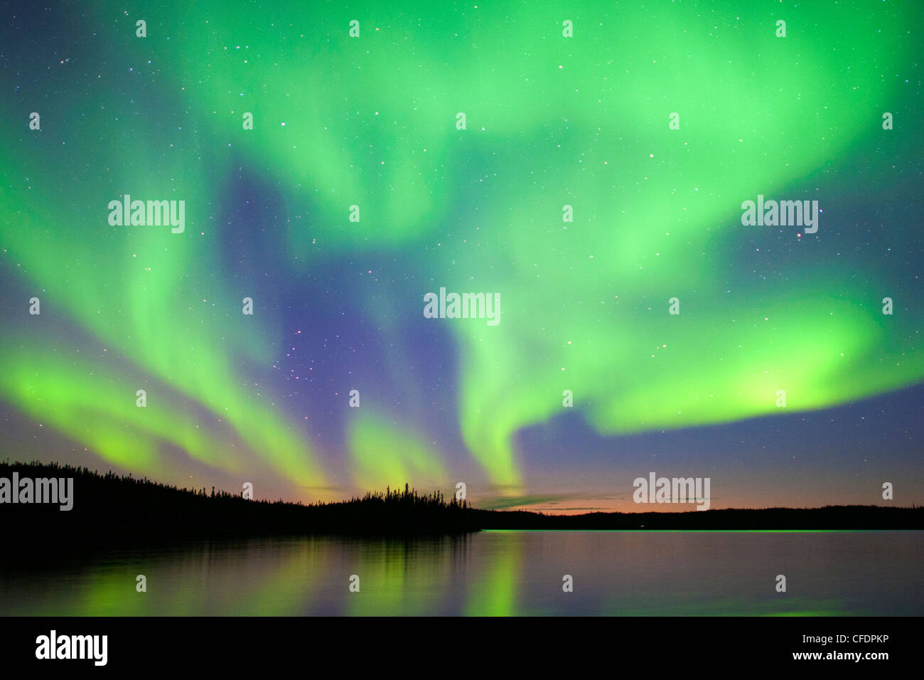 Reflected treeline hi-res stock photography and images - Alamy