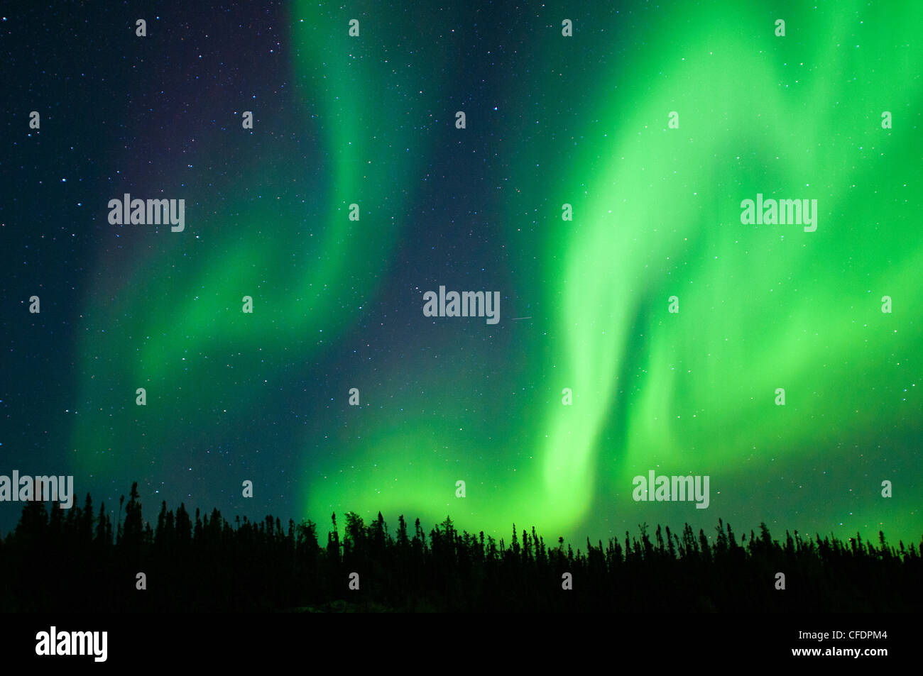 Aurora borealis (northern lights), boreal forest, Yellowknife environs ...
