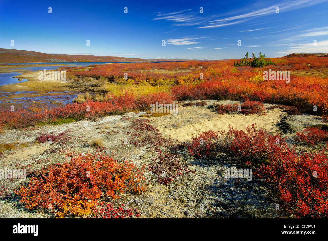 Tundrbarrenlands hi-res stock photography and images - Alamy