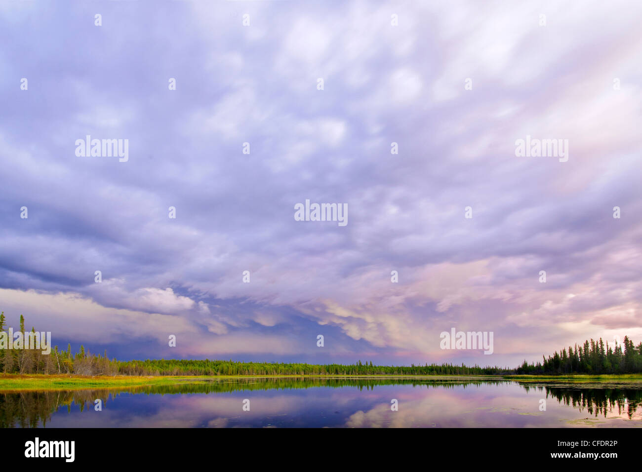 Thunderstorm in the boreal forest, Yellowknife environs, Northwest ...