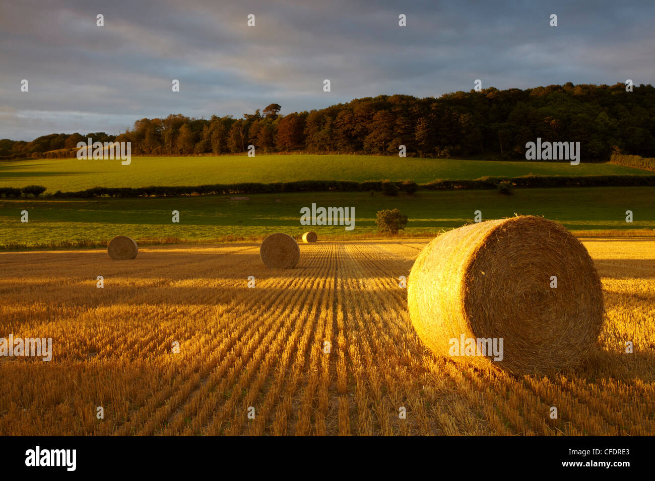 Stiffkey hi-res stock photography and images - Alamy