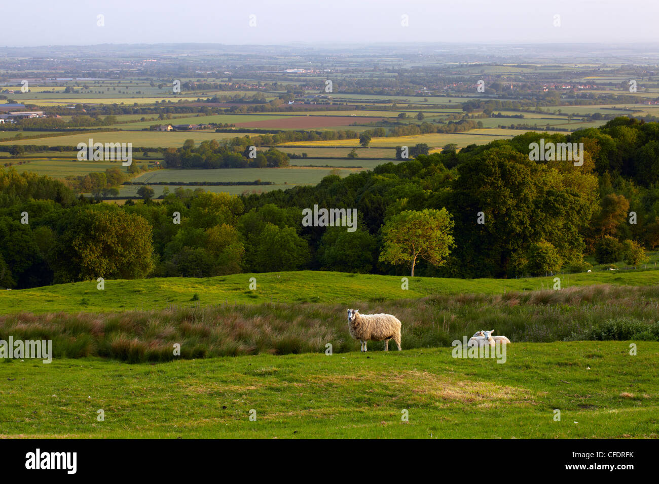 Side view from across the field hi-res stock photography and images - Alamy