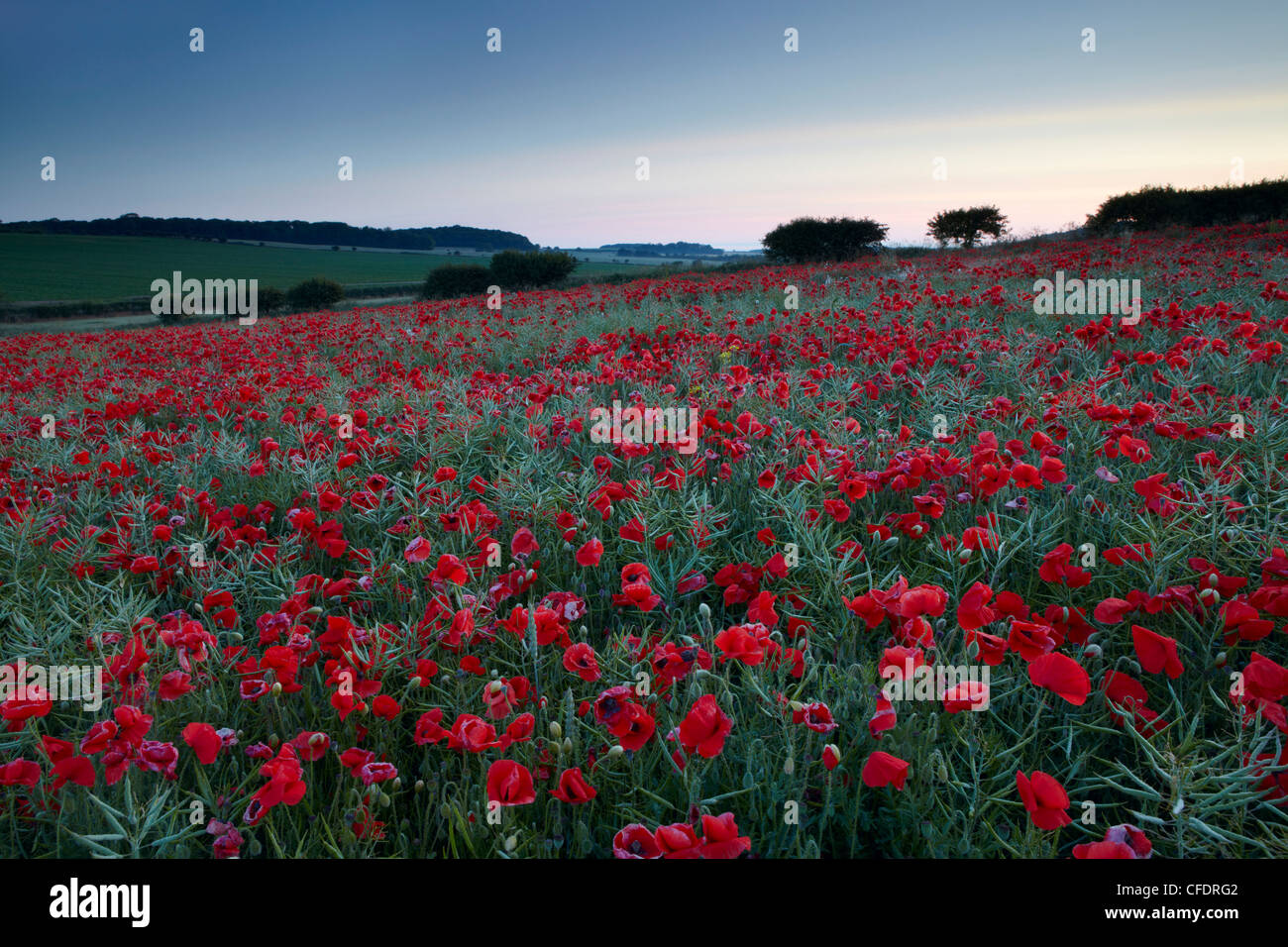 Burnham market norfolk hi-res stock photography and images - Alamy