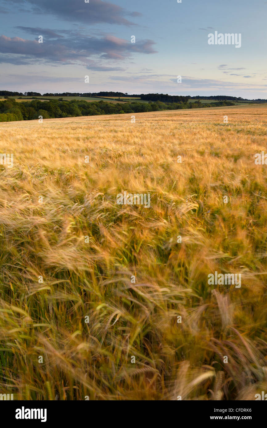 Sedgeford norfolk hi-res stock photography and images - Alamy