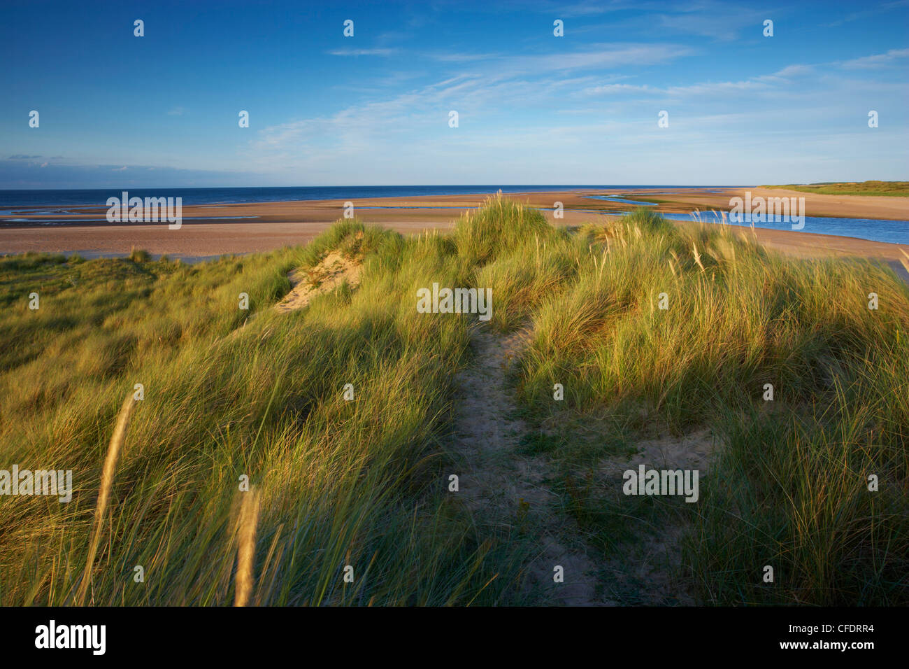 Scolt head beach hi-res stock photography and images - Alamy