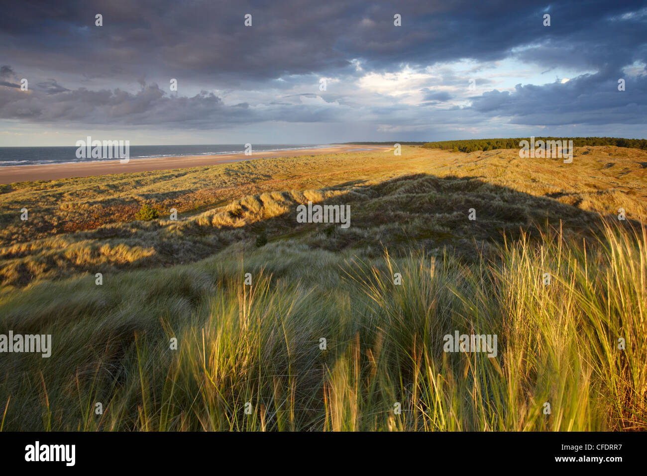 Dramatic last light on the dunes overlooking Holkham Bay, Norfolk ...