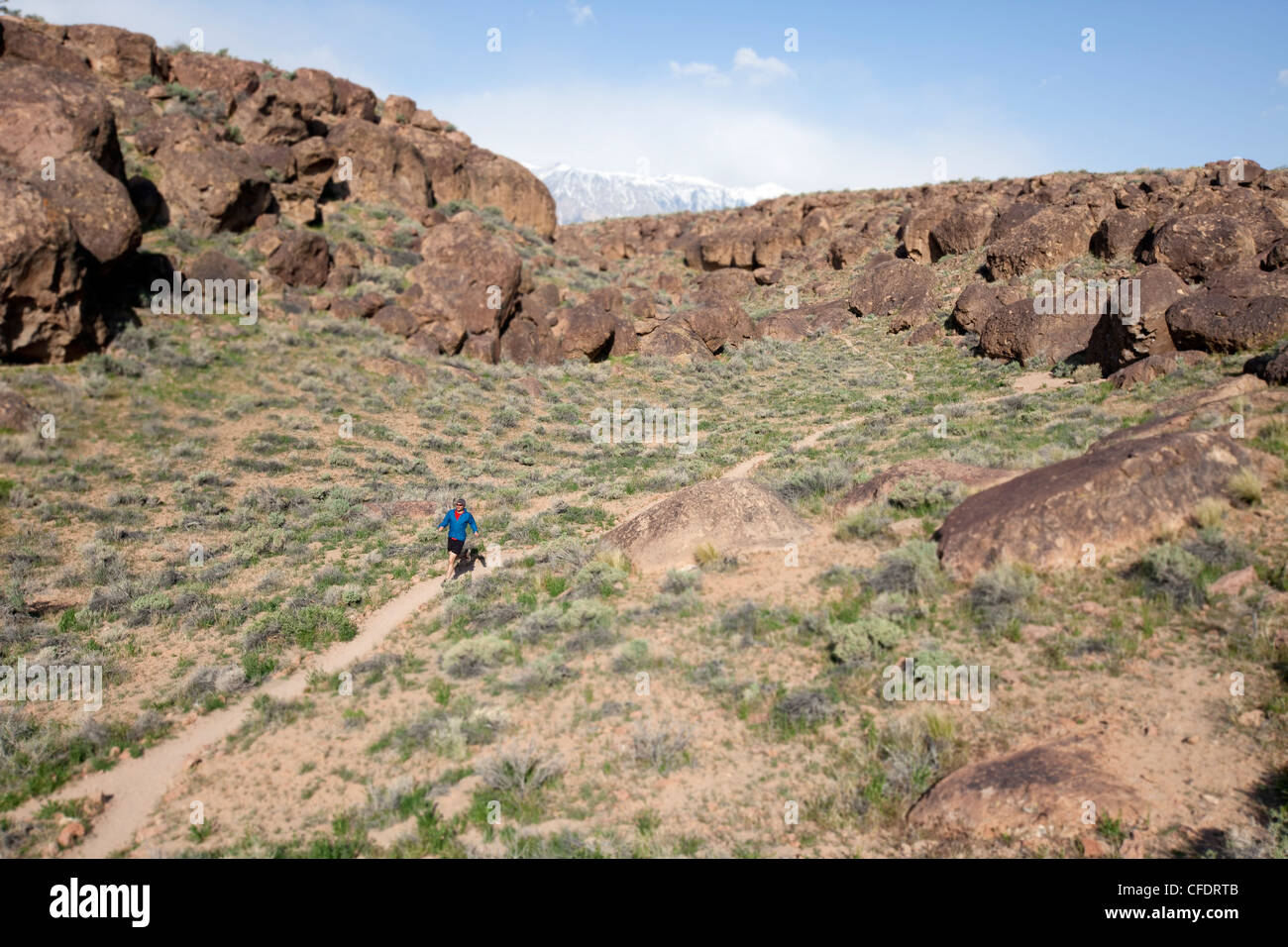 Man in red shirt trail running Stock Photo - Alamy