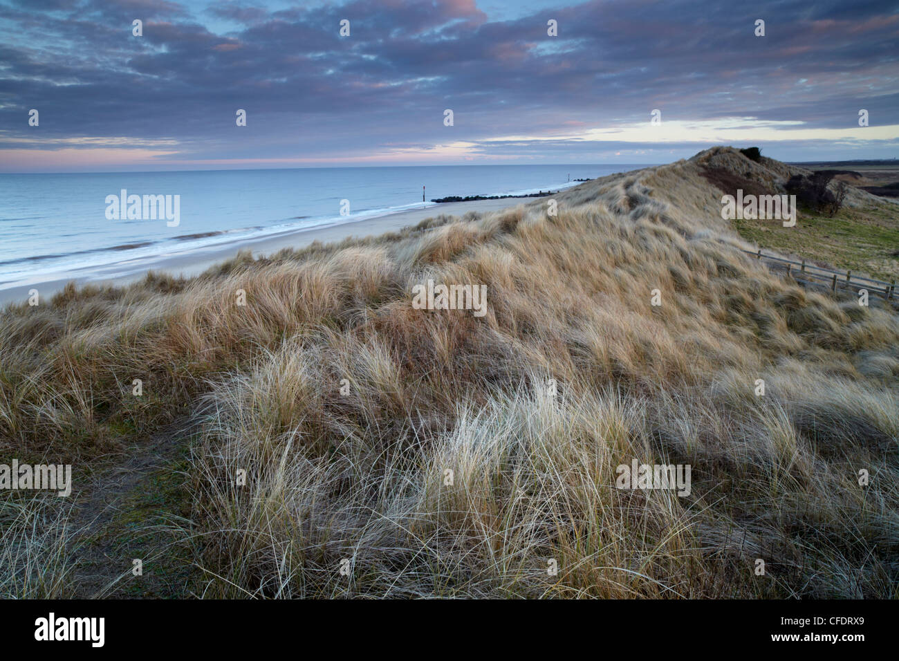 A colourful,afternoon at Waxham, Norfolk, England, United Kingdom ...