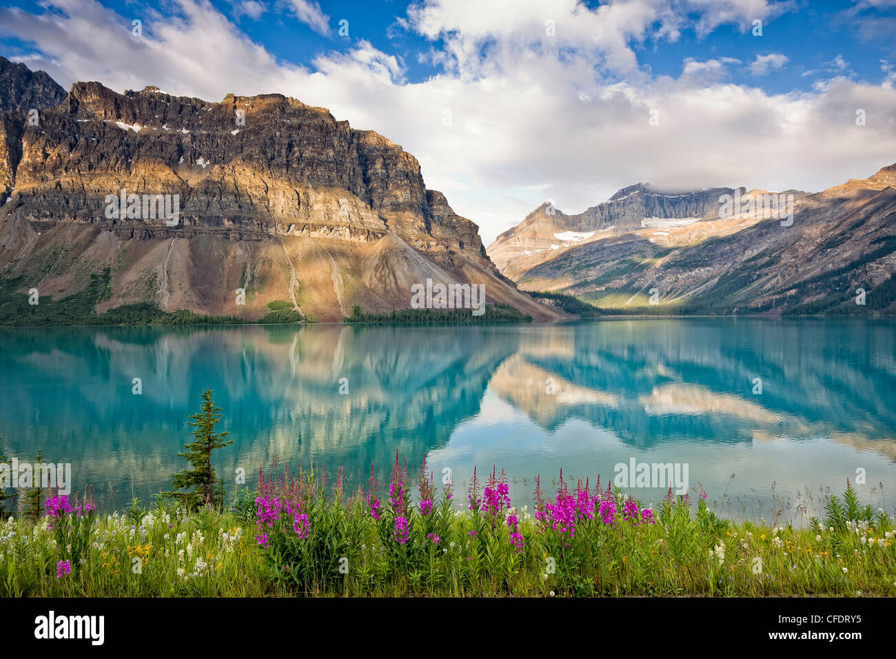 Mountain reflection at Bow Lake at sunrise in Banff National Park ...