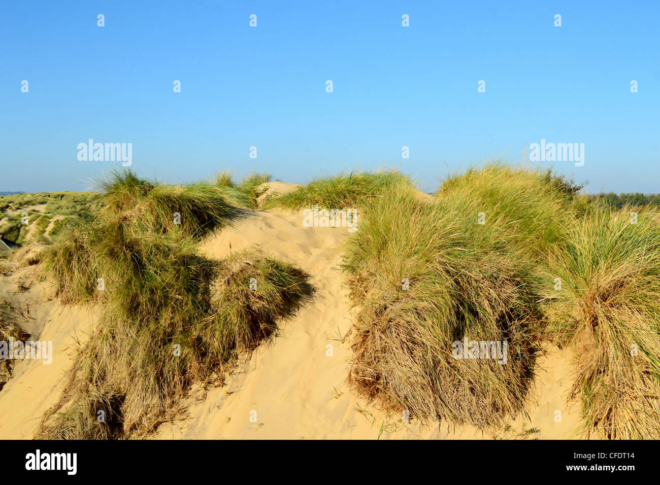 Camber sands kent hi-res stock photography and images - Alamy