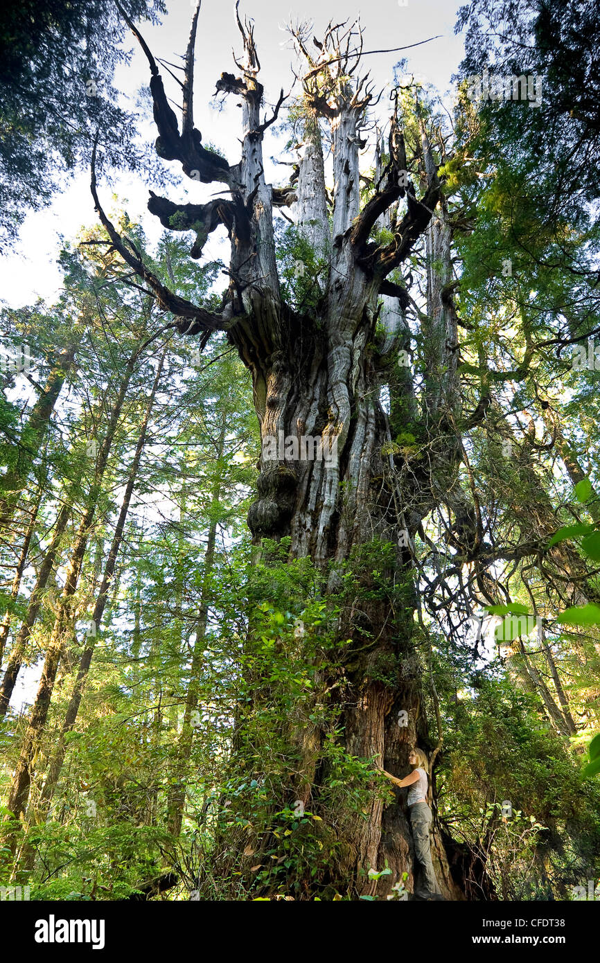 Canada vancouver woman hugging tree hi-res stock photography and images ...