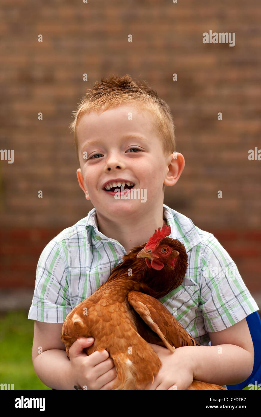 Playing Chicken Stock Photos & Playing Chicken Stock Images - Alamy