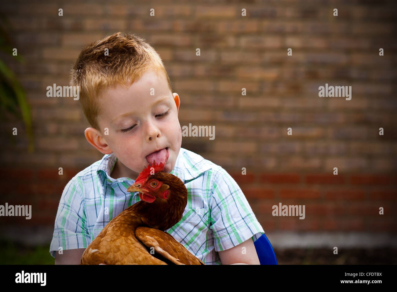 Playing Chicken Stock Photos & Playing Chicken Stock Images - Alamy