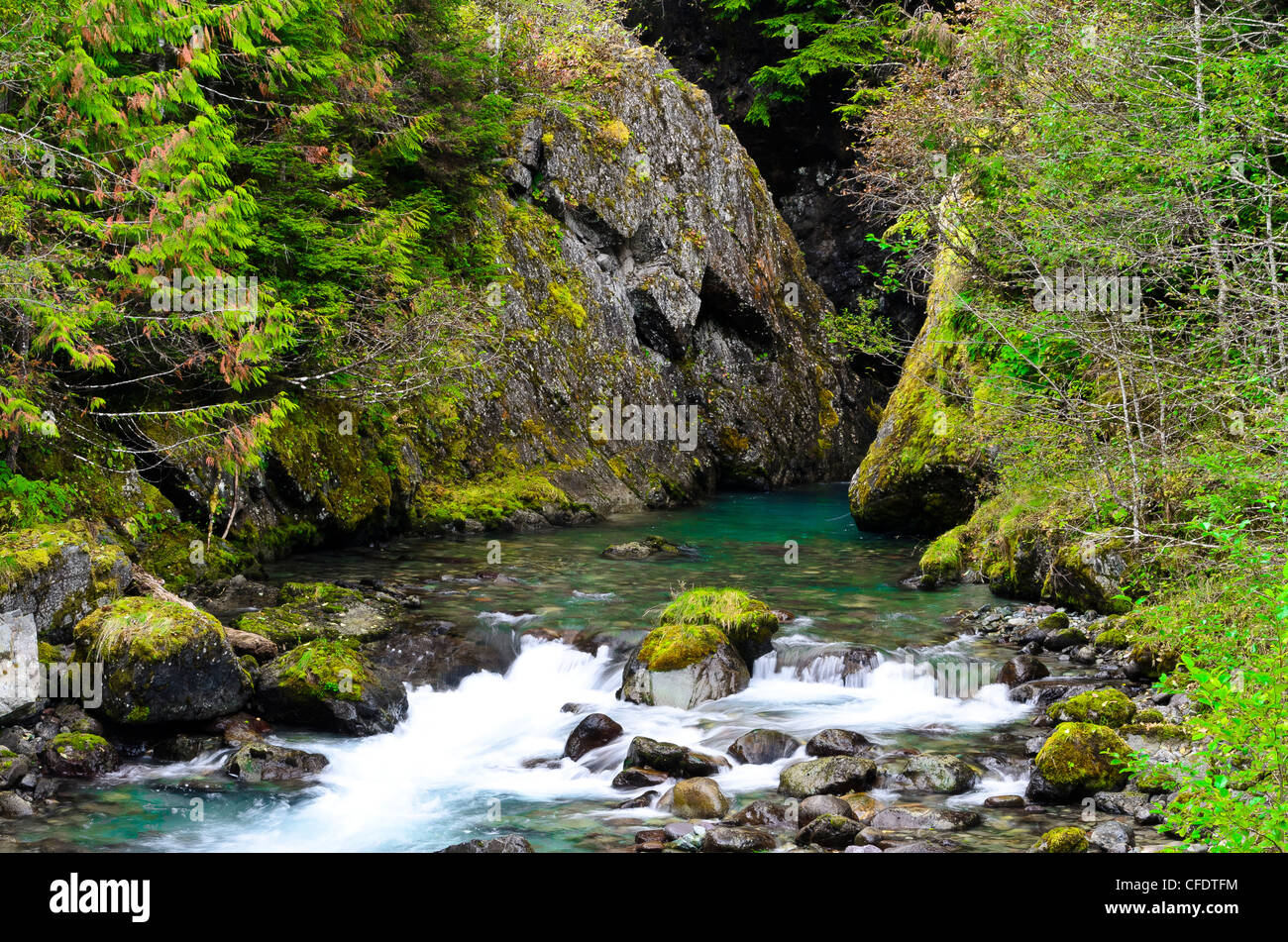 Heber River Vancouver Island British ColumbiCanada Stock Photo - Alamy
