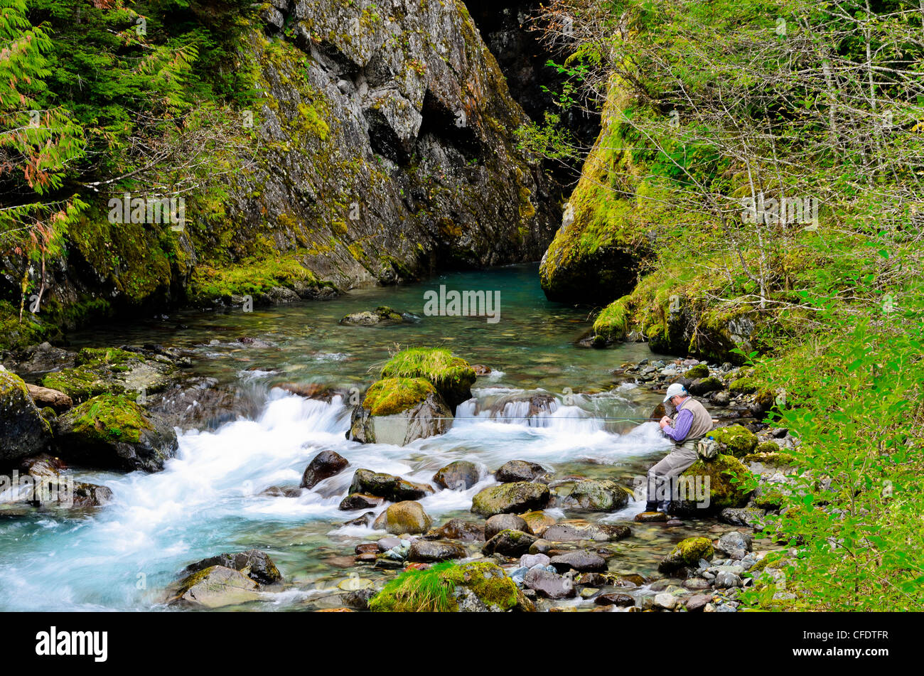 Heber River Vancouver Island British ColumbiCanada Stock Photo - Alamy